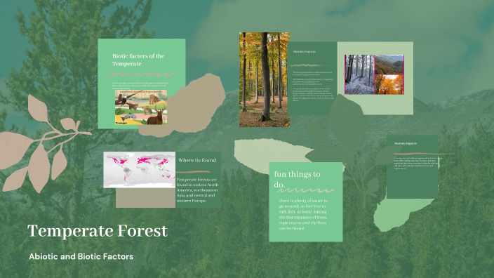Temperate Forest by Joel Villarreal on Prezi