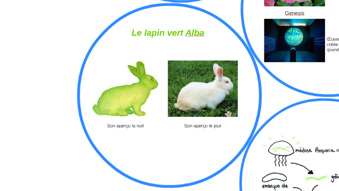 Le lapin vert Alba by Louna ZAGO
