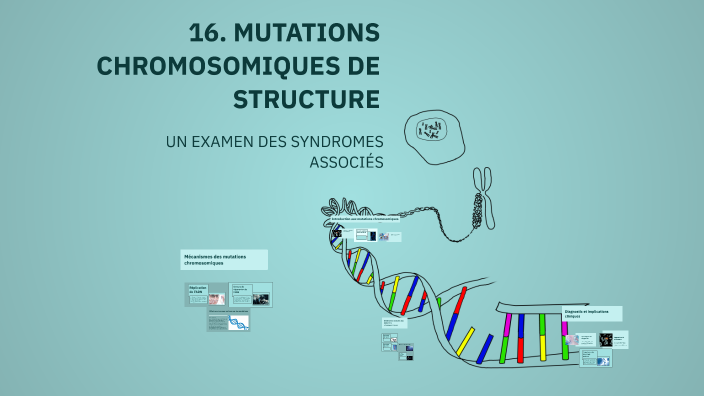 16. Les mutations chromosomiques de structure by dalal mh on Prezi