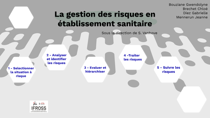 La gestion des risques en établissement sanitaire by Gwendolyne ...