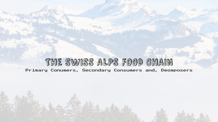 THE SWISS ALPS FOOD CHAIN by IRIS on Prezi