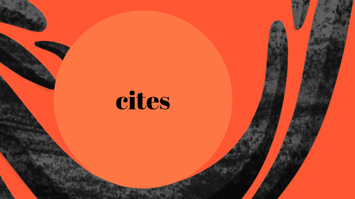 The Creative Process of Metro Boomin by elom apedanou on Prezi