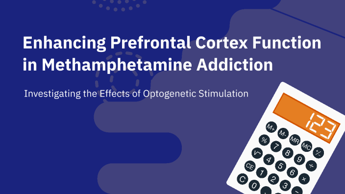 Enhancing Prefrontal Cortex Function in Methamphetamine Addiction by ...