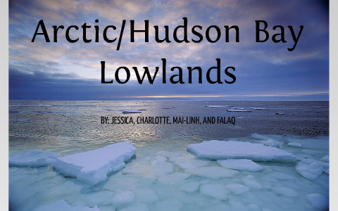 Hudson Bay and Arctic Lowlands by Charlotte Jane on Prezi