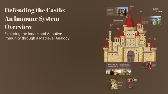 Defending the Castle: An Immune System Overview by Andrey Solano on Prezi