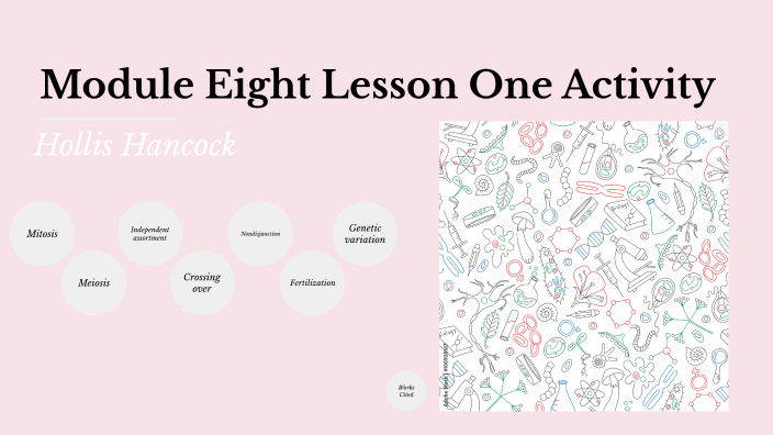 Module Eight Lesson One Activity by Hollis Hancock on Prezi