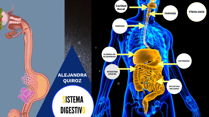 Sdig by Alejandra Quiroz on Prezi