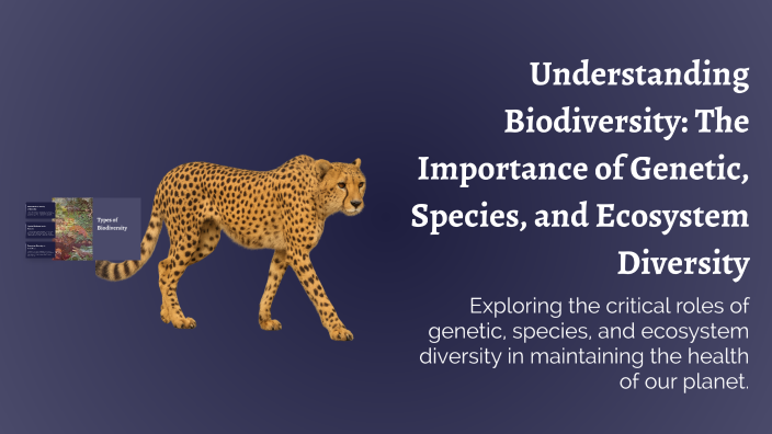 Understanding Biodiversity: The Importance of Genetic, Species, and ...