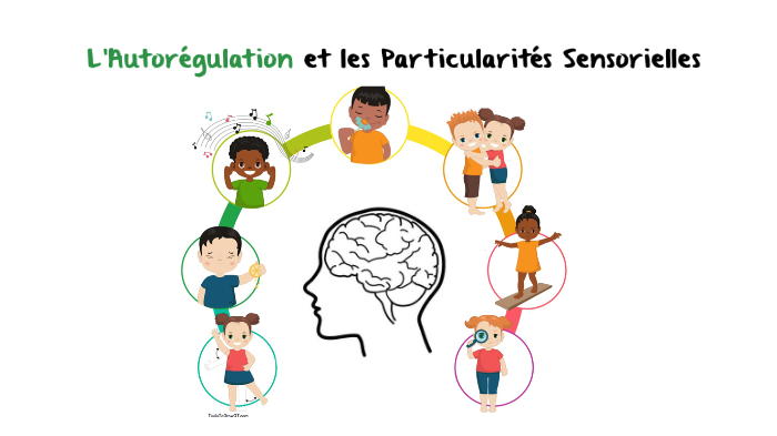 Autorégulation et particularités sensorielles by Valérie Ferron on Prezi