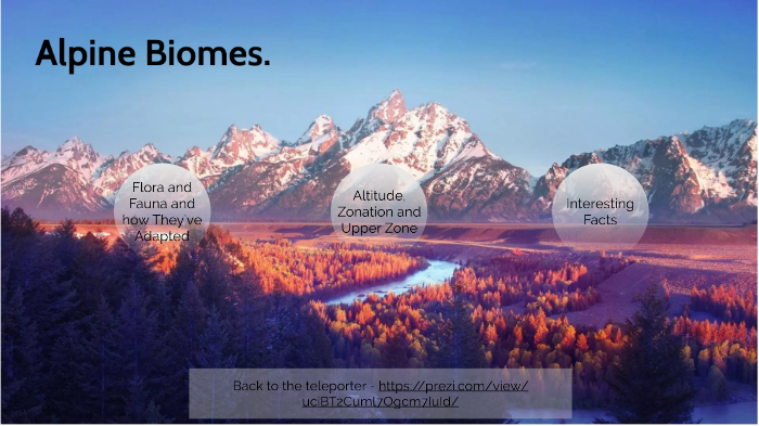 Alpine Biome. by Adrian Ngo on Prezi