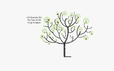 The Tree of Life - Fungi Kingdom by Jessica Stockdale on Prezi