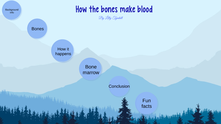 How the bones make blood by Lilly Tyndall on Prezi