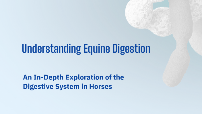 Understanding Equine Digestion by Arielle Fulk on Prezi
