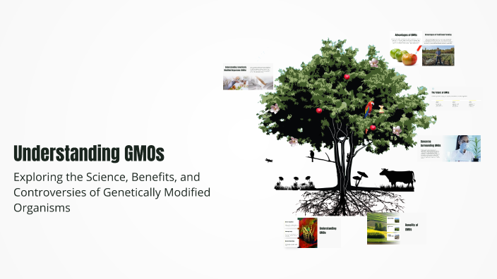 Understanding GMOs by Гашовска Сара on Prezi
