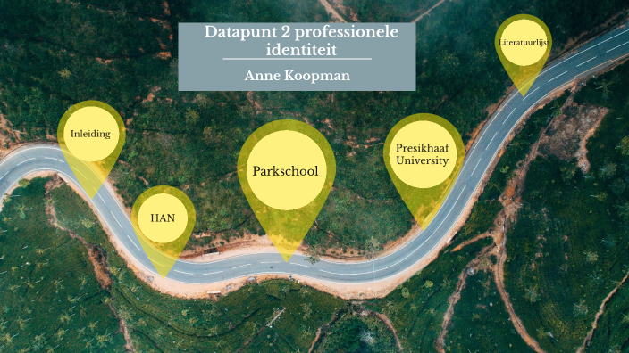 Datapunt 2 professionele identiteit by Anne Koopman on Prezi