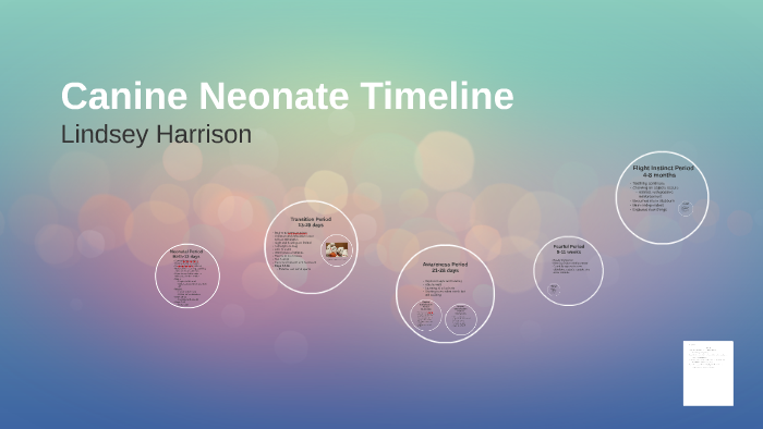 Canine Neonate Timeline by Lindsey Harrison on Prezi