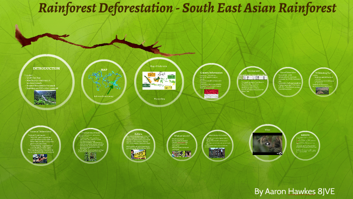 Rainforest Deforestation - South East Asian Rainforest by aaron hawkes ...