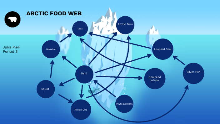 julia pieri project by Julia Pieri on Prezi