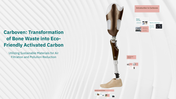 Carboven: Transformation of Bone Waste into Eco-Friendly Activated ...