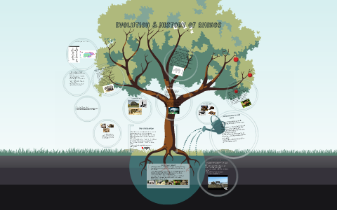 History & Evolution of Rhinos by Frank Velez on Prezi