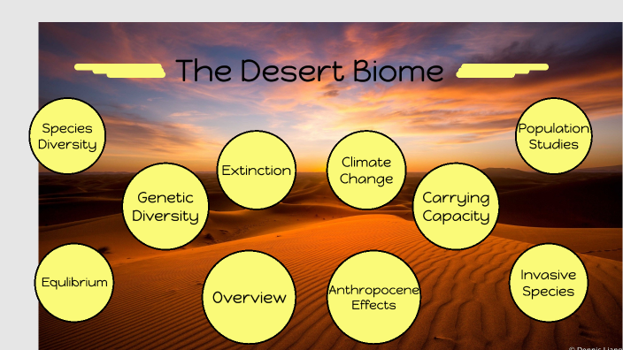 Desert Biome Presentation by Chase Ensley on Prezi