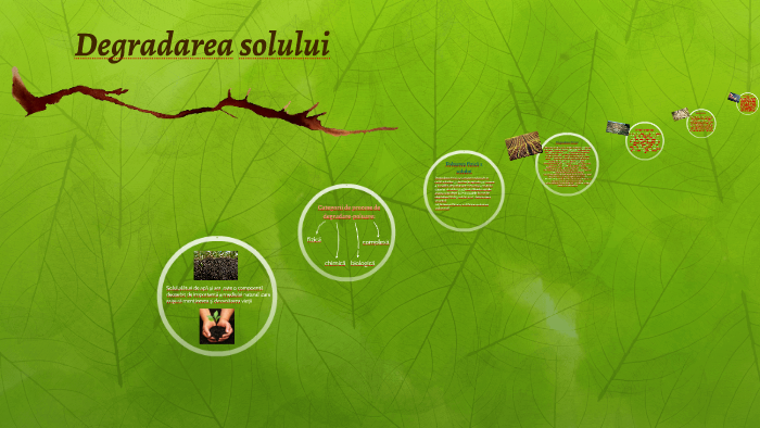 Degradarea solului by Paty Bv on Prezi