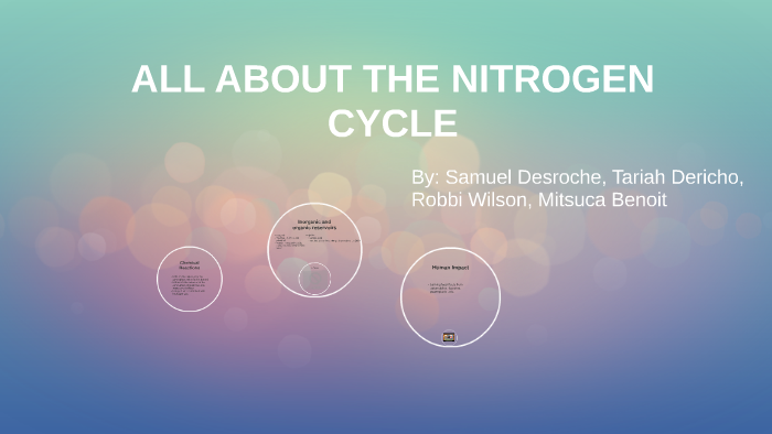ALL ABOUT THE NITROGEN CYCLE by tariah dericho on Prezi