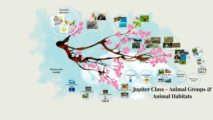 Jupiter Class - Animal Groups & Animal Habitats by on Prezi