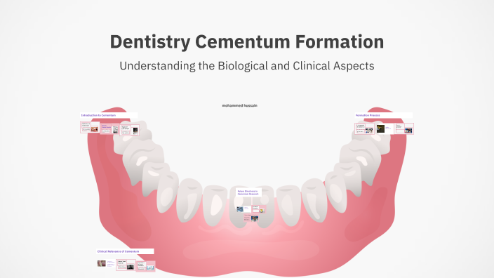 Dentistry Cementum Formation by mohammed hussain on Prezi