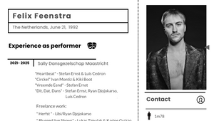CV Felix Feenstra 2025 ENG -ENG by Felix Feenstra on Prezi Design