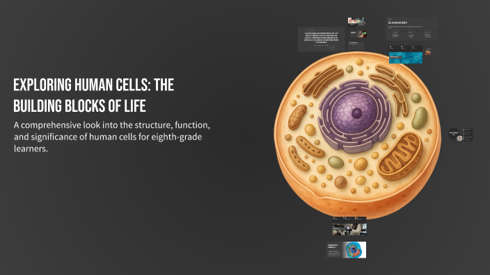 Exploring Human Cells: The Building Blocks of Life by aryon jack on Prezi