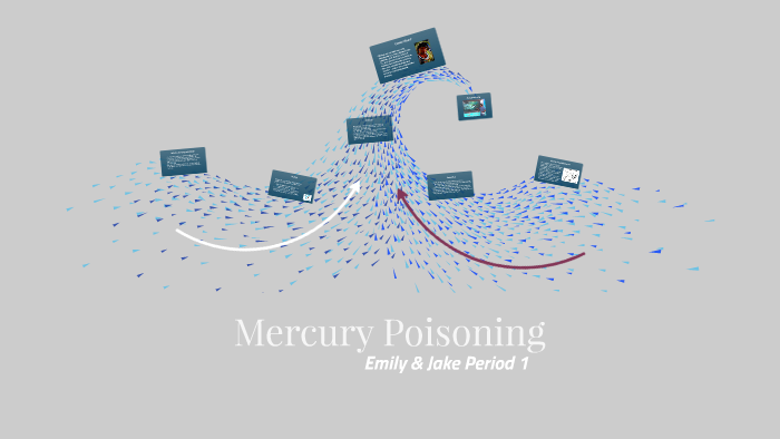 Mercury Poisoning by on Prezi