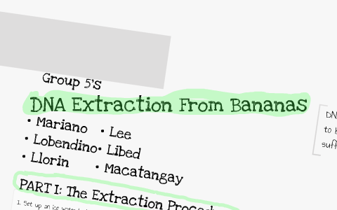 DNA Extraction from Bananas by Cai Llorin on Prezi