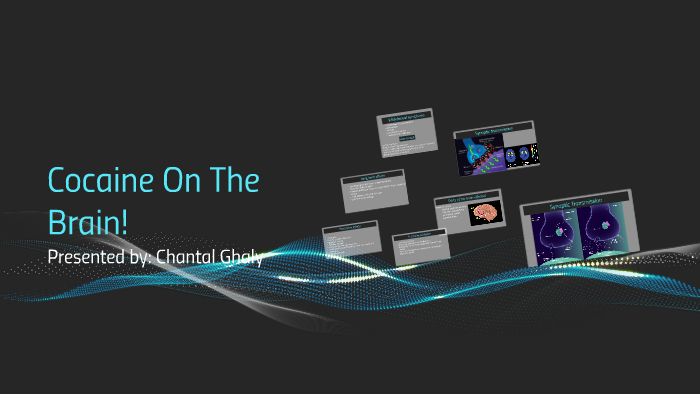 Effects of Cocaine on the brain by Chantal Ghaly