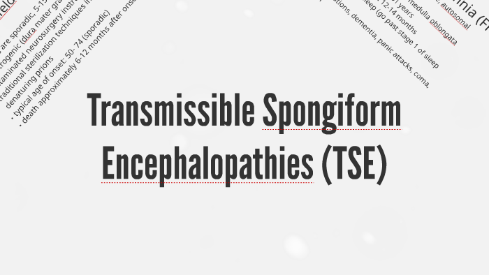 Transmissible Spongiform Encephalopathies (TSE) by Jessica Peng on Prezi