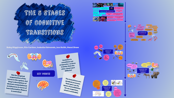 Infographic on the Five Cognitive Transitions by Izzy Edmunds on Prezi