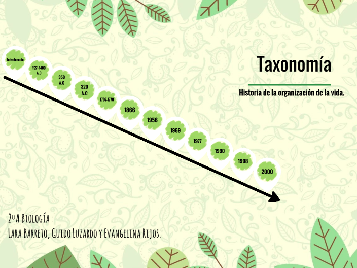 Taxonomía by Guido luzardo on Prezi