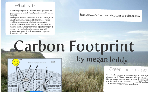 Reading & Teaching Diverse Learners Through Differentiated Instruction ...