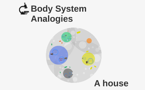 Body System Analogies by Liz Birchfield on Prezi