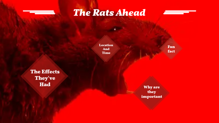 RATS by Grace Bruneau on Prezi