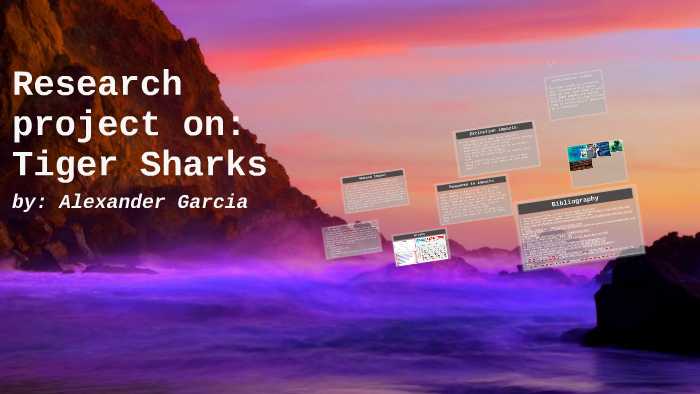 reasearch project on: tiger sharks by Alex Garcia