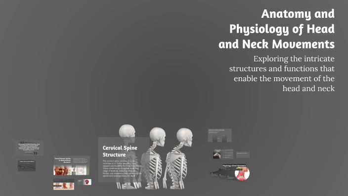 Anatomy and Physiology of Head and Neck Movements by Bronx Gaming on Prezi