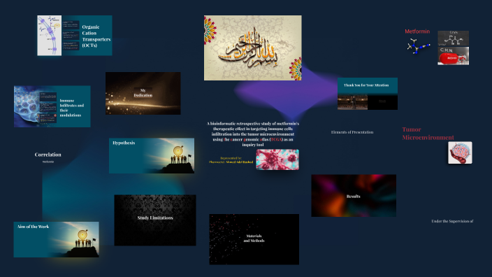 A bioinformatic retrospective study of metformin’s therapeutic effect ...