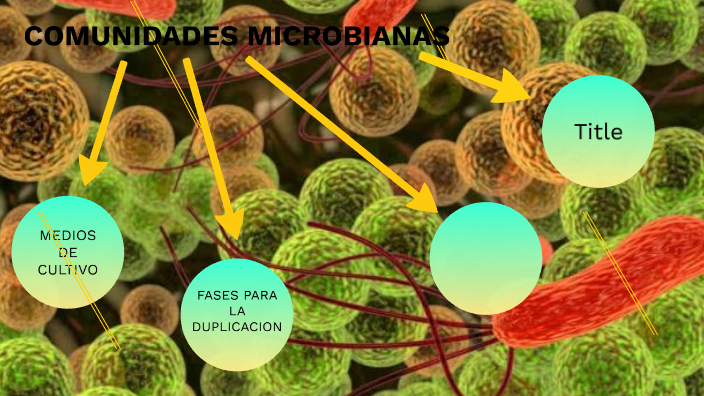 COMUNIDADES MICROBIANAS by EMILY ANTONIO on Prezi