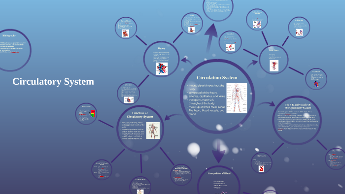 Circulation System by Manreet Gill on Prezi