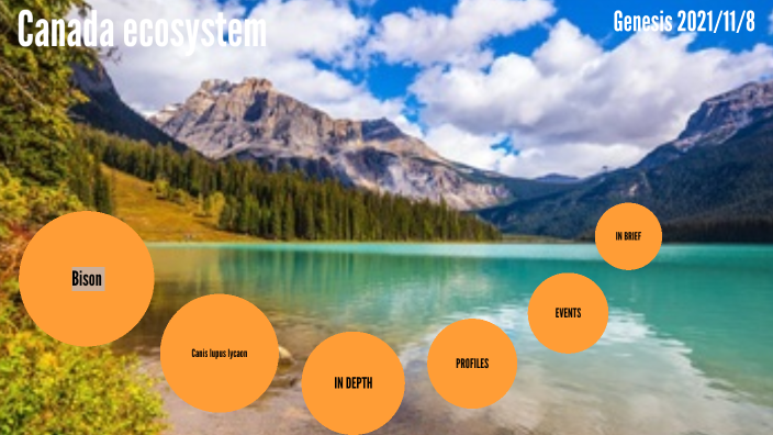 Canada ecosystem by 宋 Genesis on Prezi