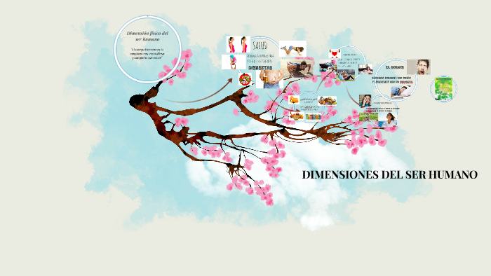 Dimensión física del ser humano by Astrid Gisel Marquez Manosalva on Prezi