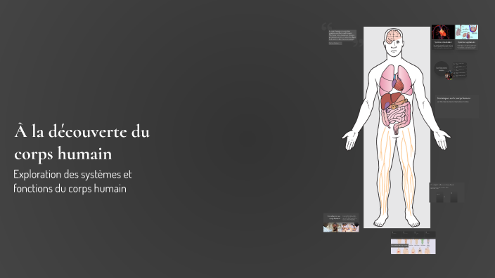 À la découverte du corps humain by Nehmat Abboud on Prezi
