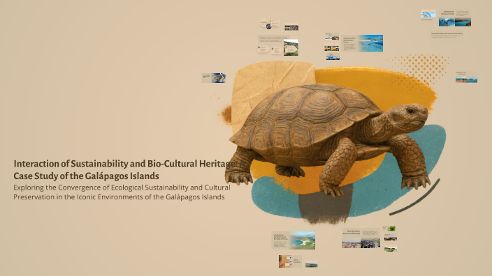 Interaction of Sustainability and Bio-Cultural Heritage: A Case Study ...