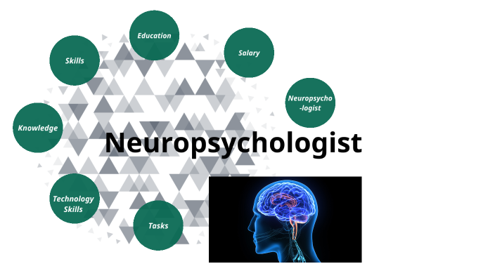 neuropsychologists and Clinical Neuropsychologists by Kaydince ...